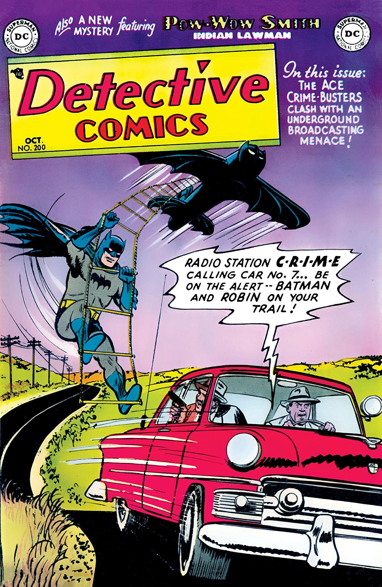 Robin 80th Anniversary Variant Cover Spotlight: Connection to Eighty ...